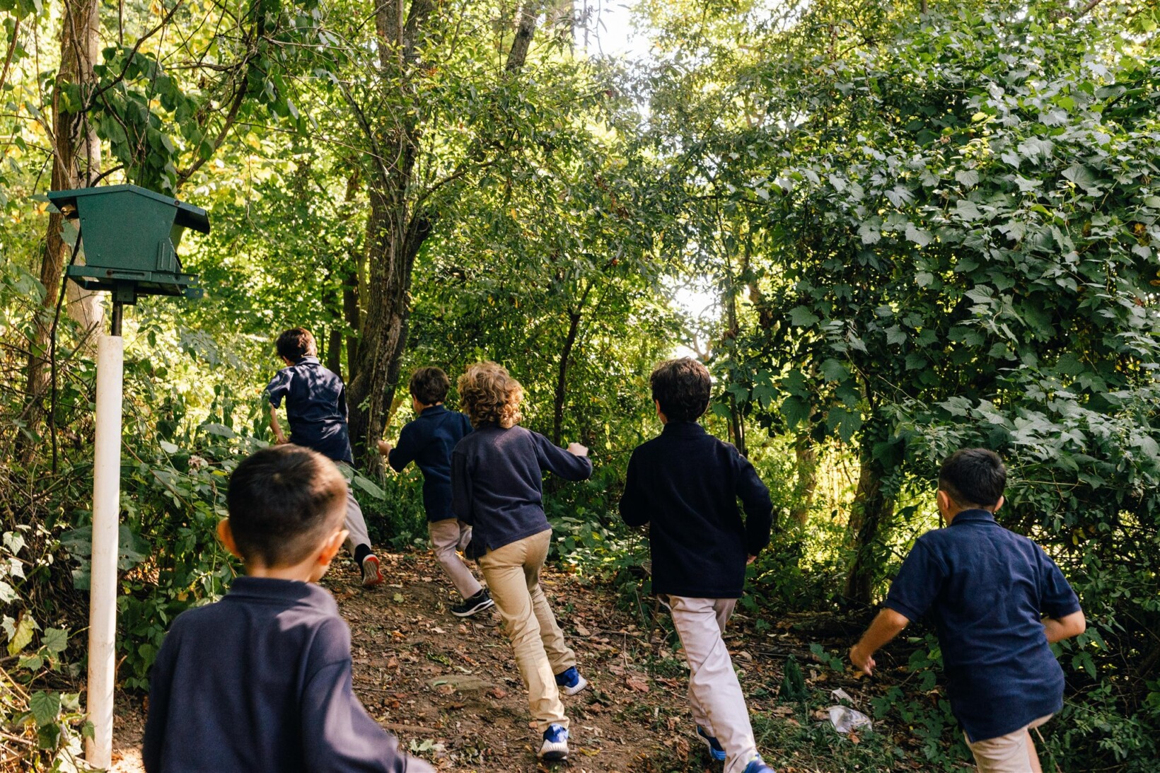 Main Line Classical Academy: Never Too Young To Learn Great Things ...