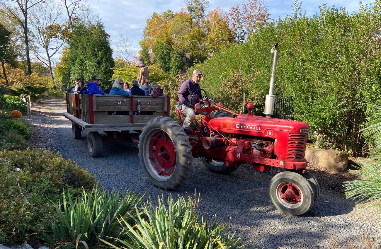 Where to Hop on a Hayride for Bales of Fun This Fall! • Main Line Parent