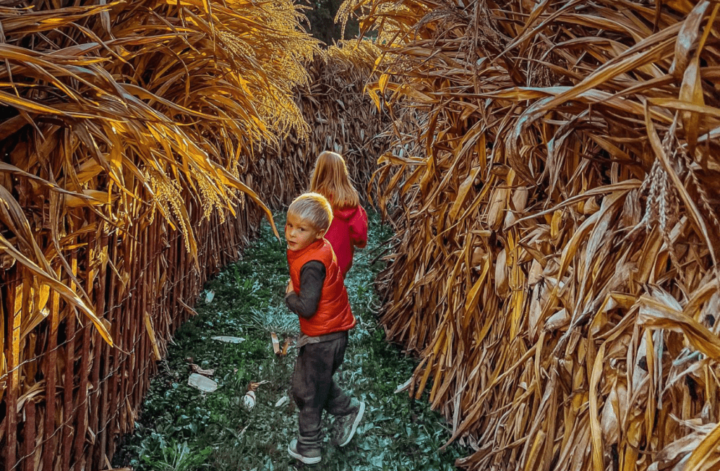 Get Lost This Fall in the Main Line Area's Best Corn Mazes • Main Line ...