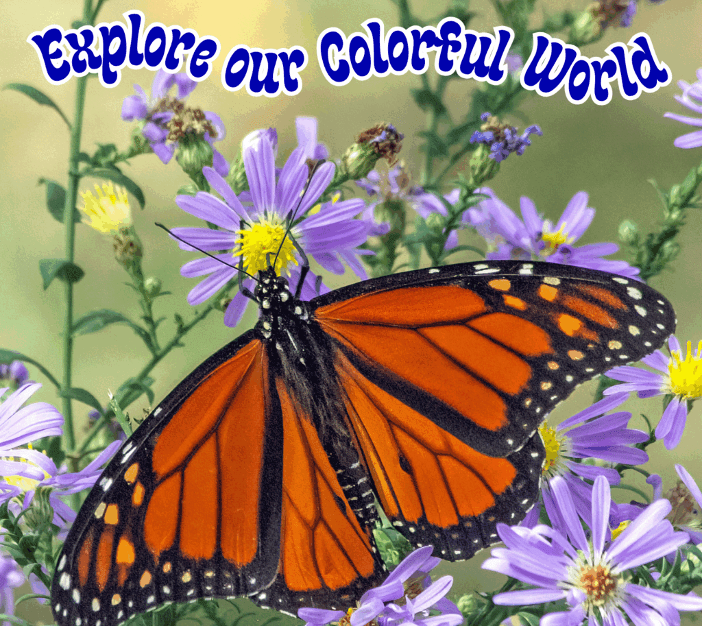 School's Out-Let's Go WilMa Park Party • Main Line Parent